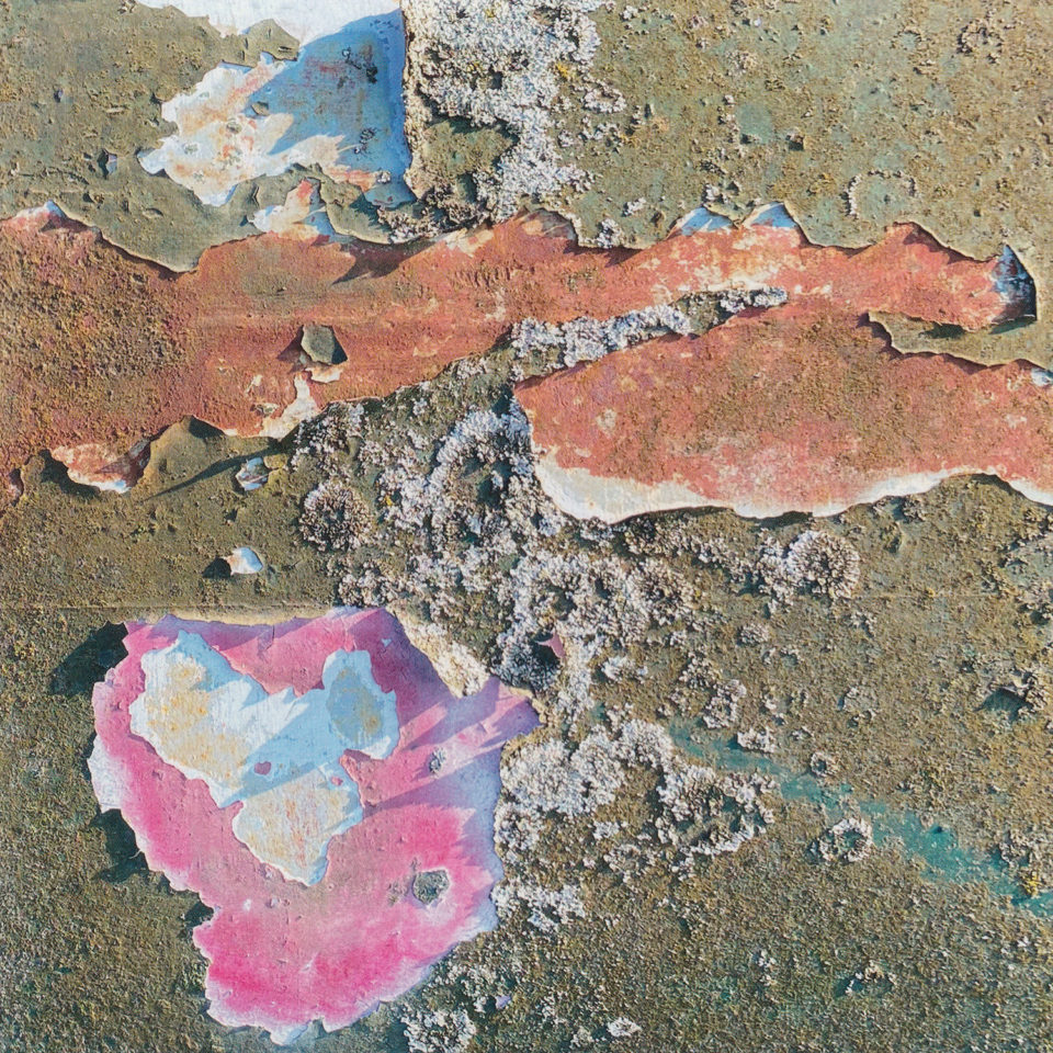 The Endless Coloured Ways: The Songs of Nick Drake - LizPhair.net